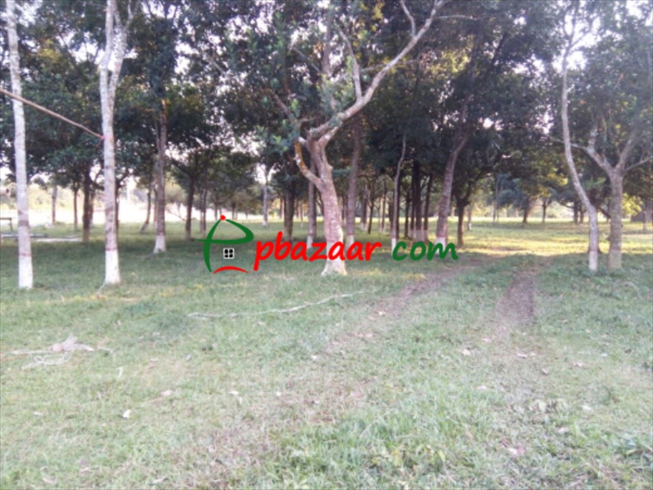 Navana Purbachal project Plot | pbazaar.com